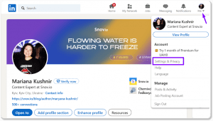 Private Mode on LinkedIn: A Complete Guide To Browsing Profiles ...