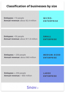 What are Firmographics: Definition, importance, data | Snovio